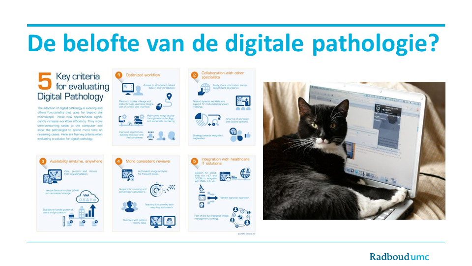 Dag van de Pathologie | Geert Litjens